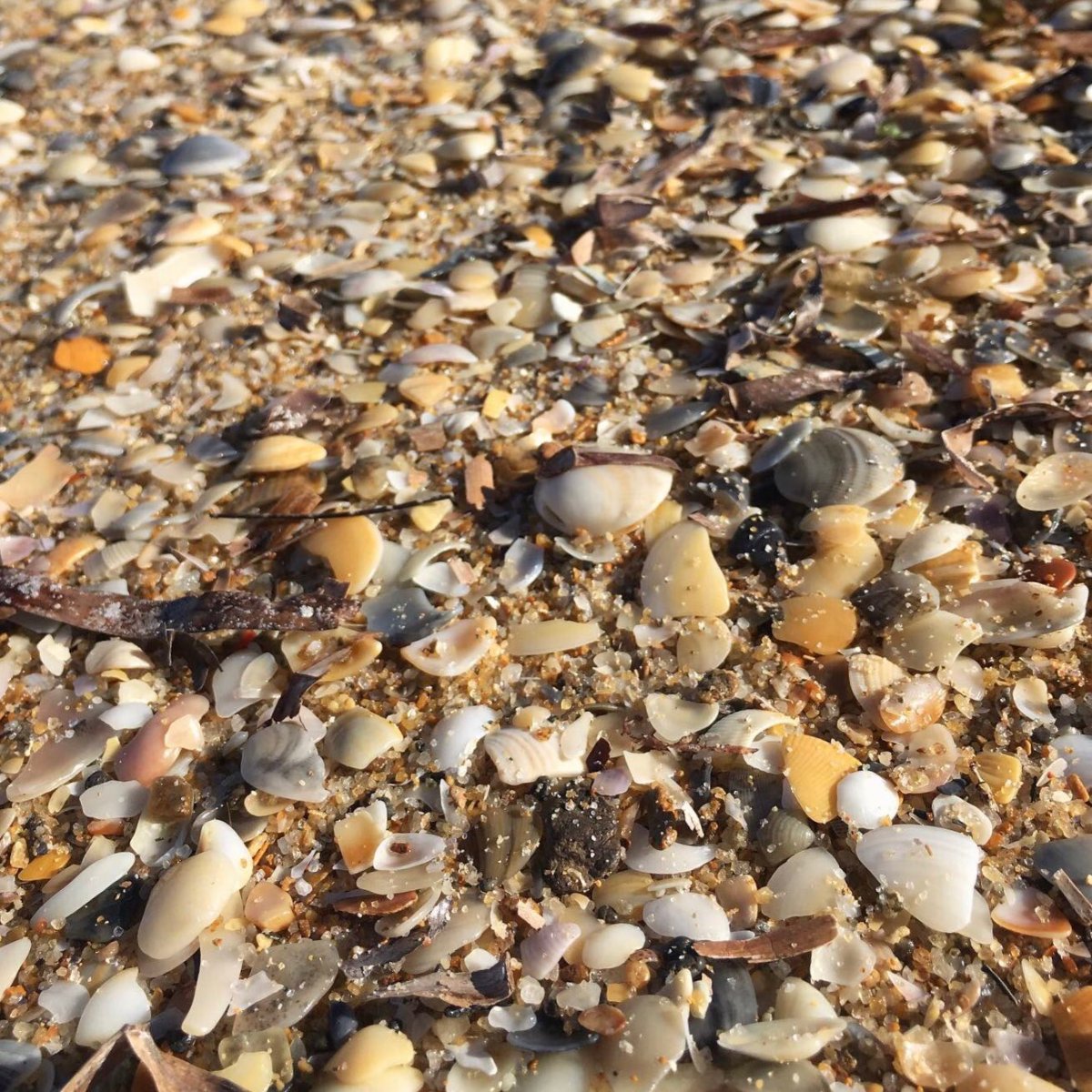 Academic studies on social media use during Singapore’s General ...